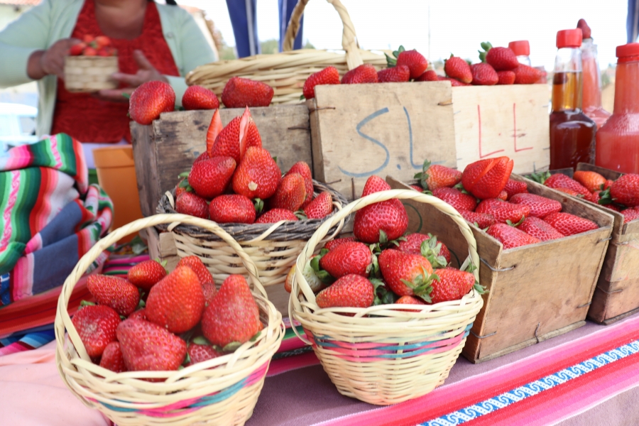 DISTRITO RURAL UCUCHI MOSTRÓ LO MEJOR DE SU PRODUCCIÓN Y DELEITÓ A LOS ...